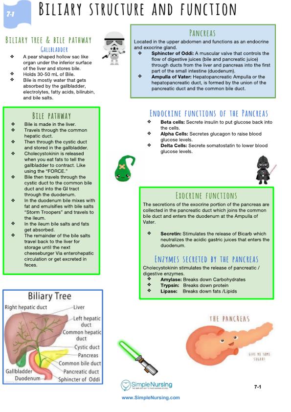 SOLVED: Text: READ THE DIAGRAM Liver (Biliary) Directions: Fill in the ...