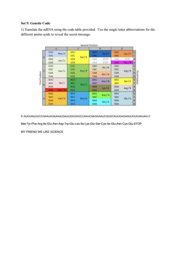 Using the chart below, what is the protein sequence coded for in this ...