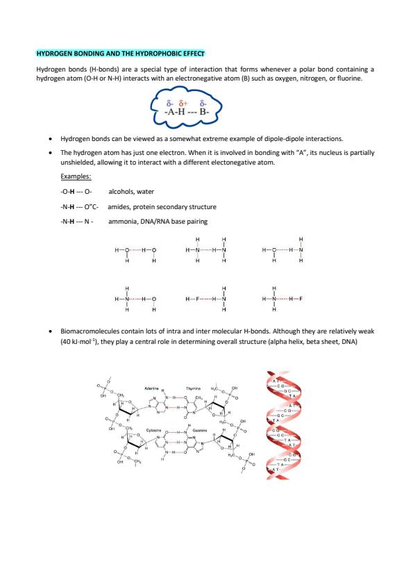 SOLVED: Hydrogen bonding between polyamide chains plays an important ...
