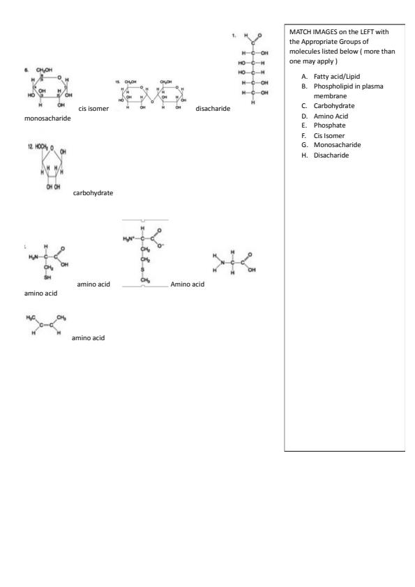 The molecular structures shown below are representative of five major classes of building-block ...