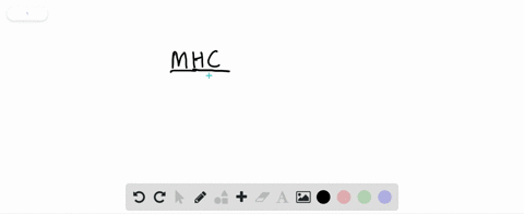 ⏩SOLVED:What does MHC stand for? What is the function of MHC? What ...