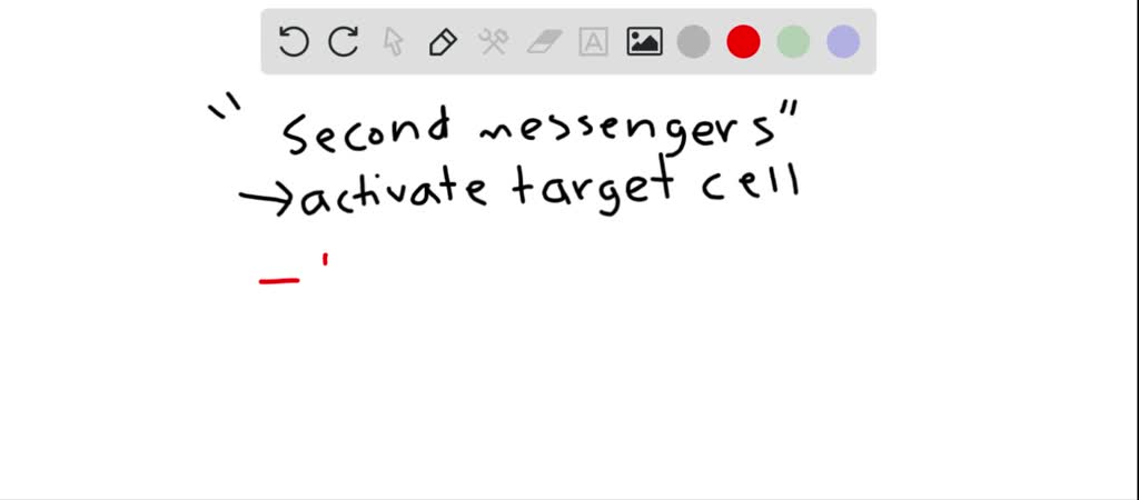 SOLVED:Why do some signals ("first messengers") trigger a "second ...