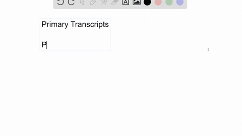 SOLVED:Compare the structures of primary transcripts with those of ...