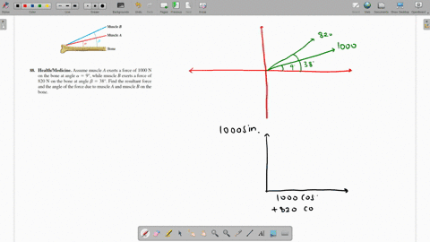SOLVED:Two muscles exert force on a bone at the same point. The first ...