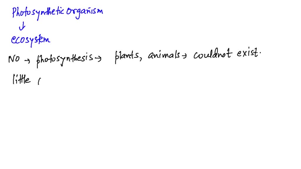 SOLVED:How do diverse forms of anaerobic respiration and lithotrophy ...