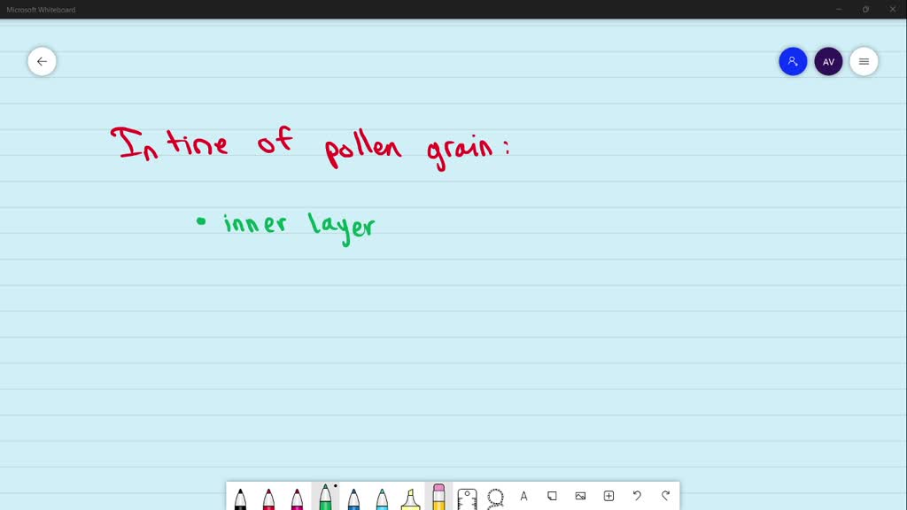 SOLVED:Intine of pollen grain is (a) Inner layer of pollen grain (b) A ...