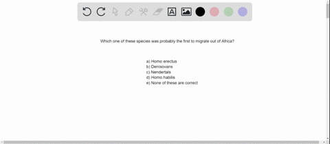 SOLVED:Lucy is a member of what species? a. Homo erectus b ...