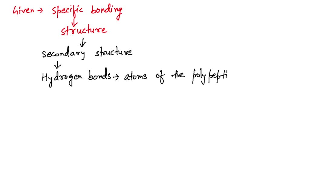Hydrogen bonding between which functional groups stabilizes protein ...