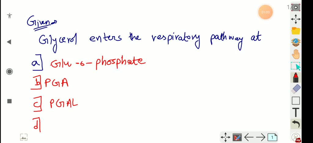 SOLVED:Glycerol enters the respiratory pathway at (a) Glu-6-phosphate ...