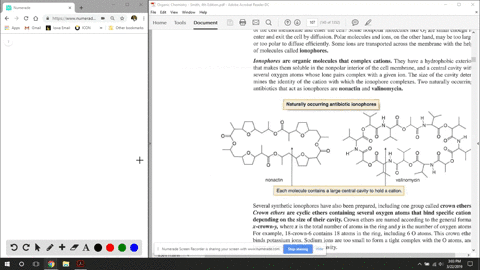 Nonactin and valinomycin each contain only two different...