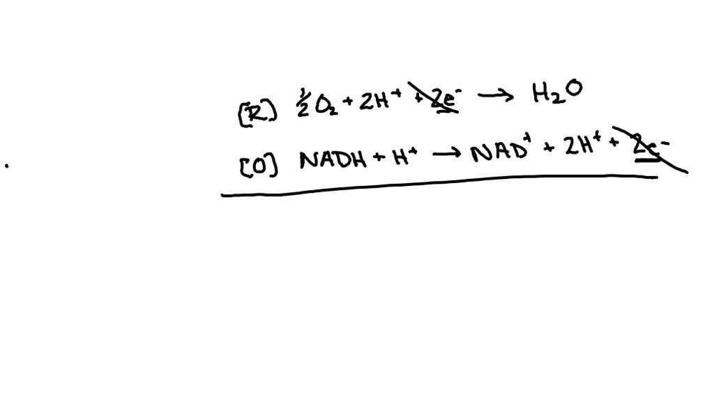 SOLVED:The following half reactions play important roles in metabolism ...