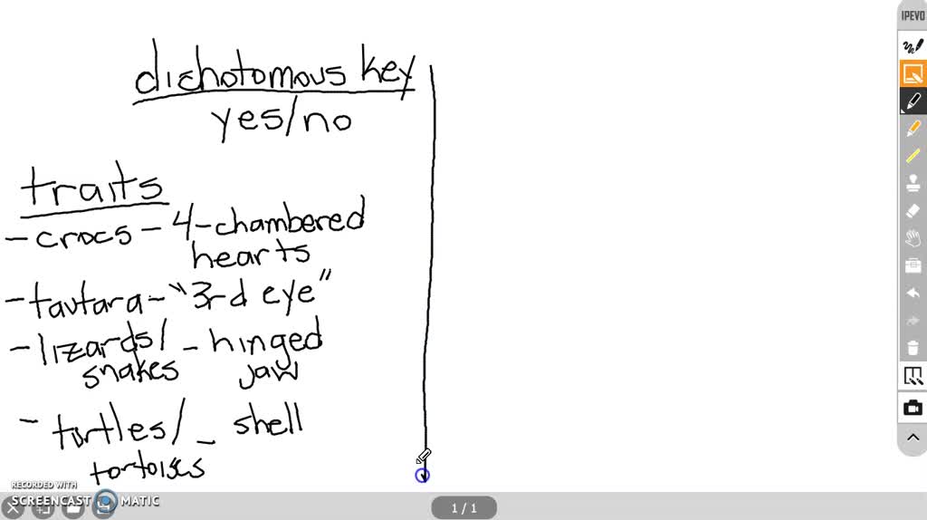 3 Is It Possible To Create More Than One Dichotomous SolvedLib