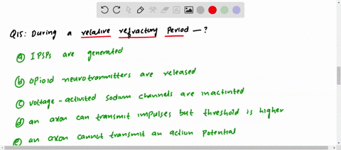 SOLVED:A presynaptic neuron in the cerebrum synapses with hundreds of ...
