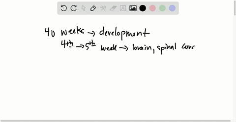 ⏩SOLVED:Visit this site (http://openstaxcollege.org/1/pregstages)… | Numerade