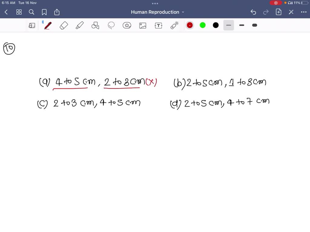 SOLVED:An adult testes is oval in shape. Its width is about and length ...