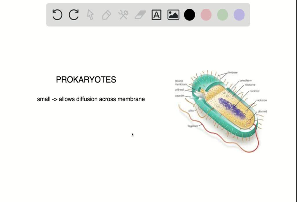 SOLVED: Prokaryotes depend on to obtain some materials and to get rid ...