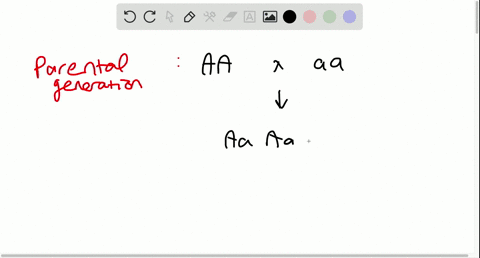 The second-generation offspring of a cross between individuals who are ...