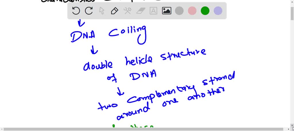 The picture shows characteristic coiling of DNA known as (a) Strings-on ...