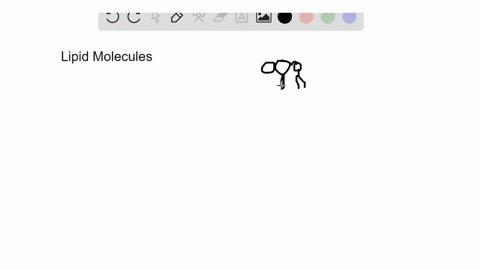 SOLVED:Flip-flop 1. The transverse diffusion of phospholipids in a ...