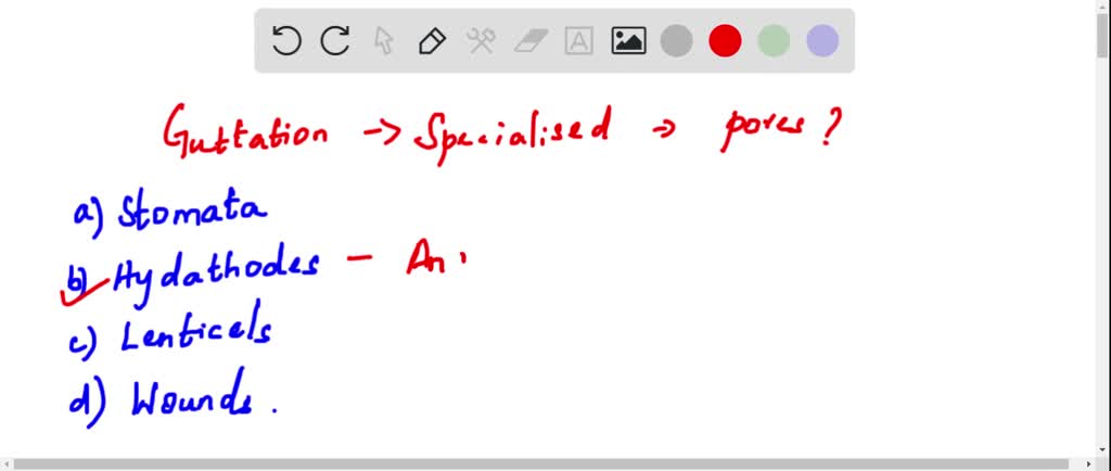 SOLVED:Guttation is the process of elimination of water from plants. It ...