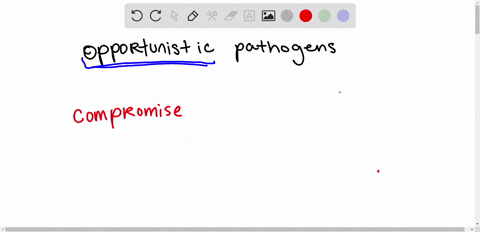 ⏩SOLVED:Opportunistic pathogens are least likely to affect which of ...