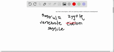 Chapter 24, Introduction to Animals Video Solutions, Glencoe Biology ...