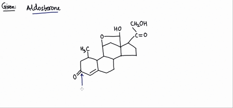 Aldosterone is a key steroid involved in controlling the...
