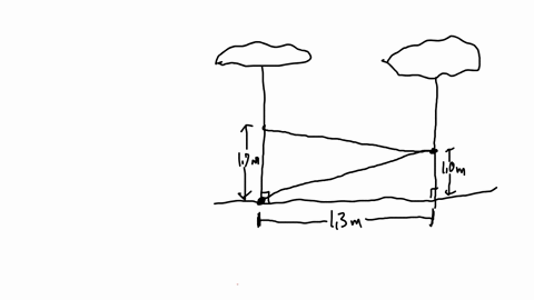 ⏩SOLVED:Two trees have perfectly straight trunks and are both… | Numerade