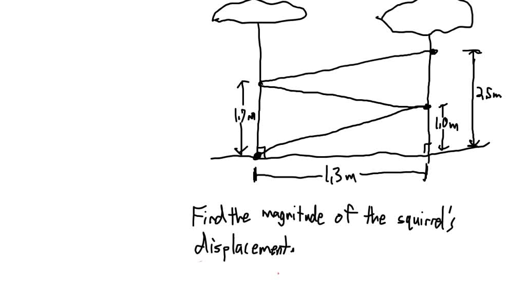 ⏩SOLVED:Two trees have perfectly straight trunks and are both… | Numerade