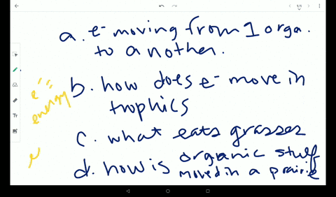 A food chain would be a better resource than a food web to answer which ...