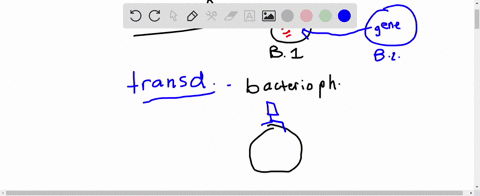 SOLVED:Which statement about both transformation and transduction is ...