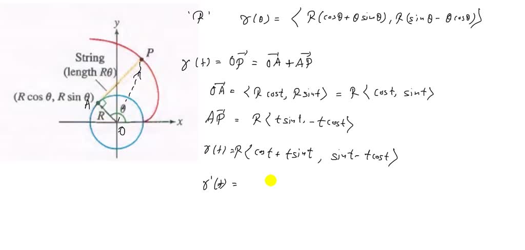 SOLVED:The involute of a circle (Figure 7 ), traced by a point at the ...
