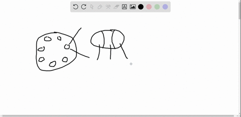 Esteban Casasola, Academic Facilitator at St. George's University ...