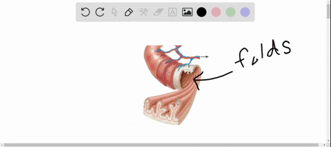 SOLVED: Which of the following lists structures in order from smallest to largest? a. small ...