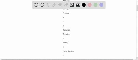 SOLVED:The scientific name for humans is Homo sapiens. The name Homo is ...