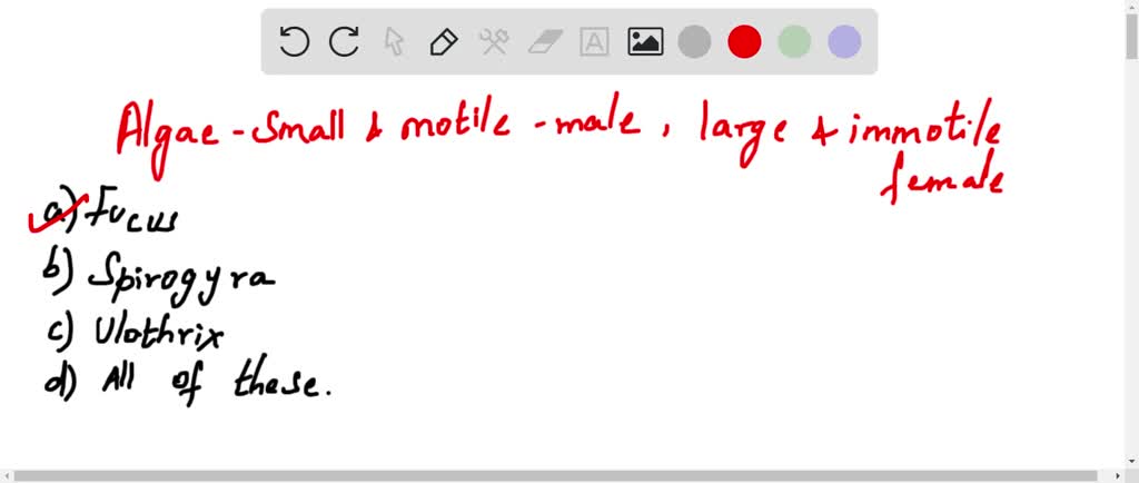 SOLVED:Male gamete is small and motile and female gamete is large and ...