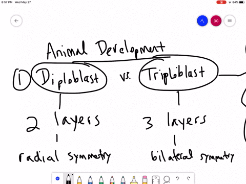 SOLVED:Which type of asymmetry can be assigned BI-RADS 3 after a ...