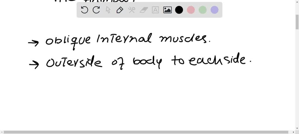 ⏩SOLVED:What are annelid setae? What function do they serve? What ...