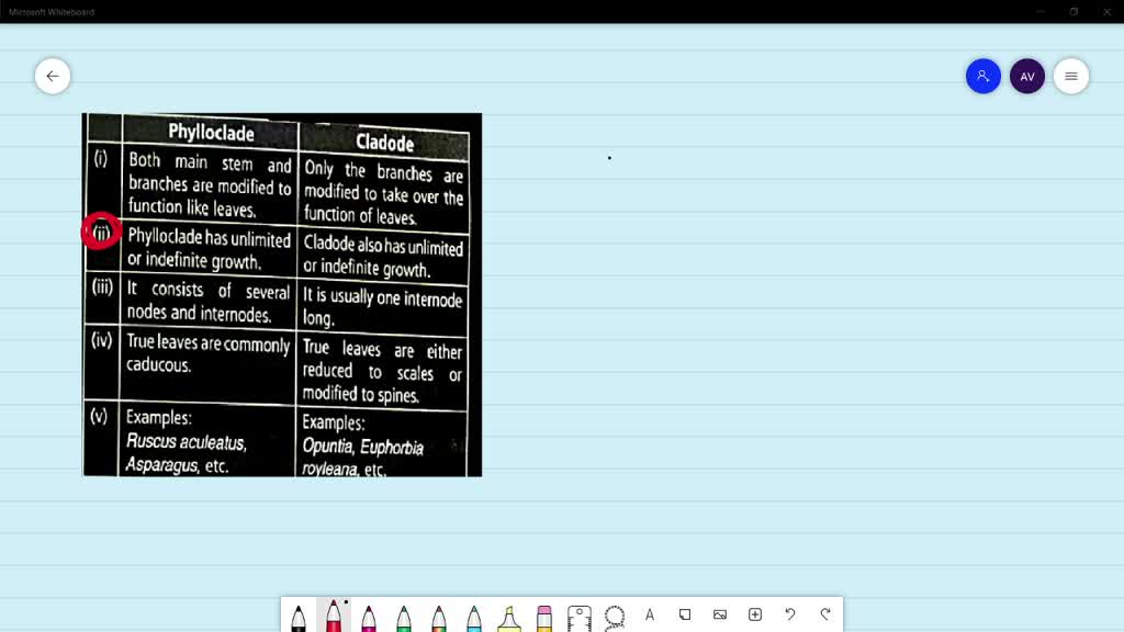 SOLVED:Following table summarizes the differences between phylloclades ...