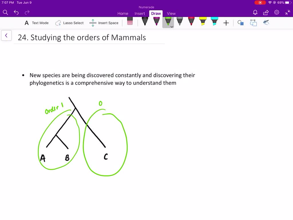 ⏩SOLVED:Open Ended Suggest reasons why you should study the orders ...