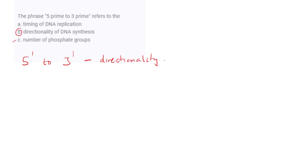 SOLVED:The phrase "5 prime to 3 prime" refers to the a. timing of DNA ...