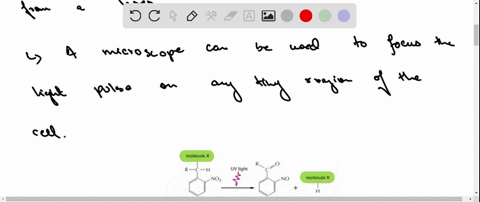 ⏩SOLVED:Caged molecules can be introduced into a cell and then… | Numerade