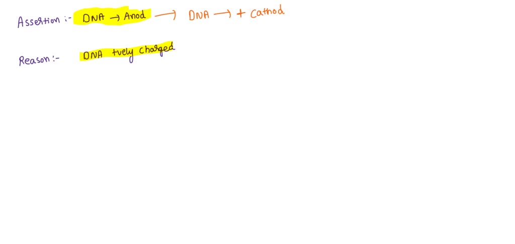 ⏩SOLVED:Assertion: In electrophoresis DNA is move towards anode.… | Numerade