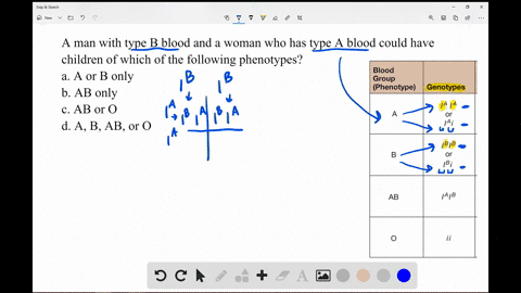 Chapter 9, Patterns of Inheritance Video Solutions, Campbell Biology ...