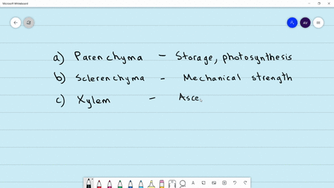 SOLVED:Select the incorrect pair out of the following. Type of tissue ...