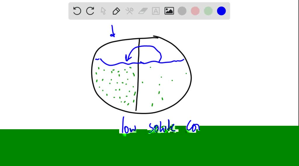 SOLVED:Water moves via osmosis . a. throughout the cytoplasm b. from an ...