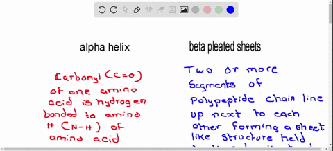 The Difference Between Alpha And Beta Sheets