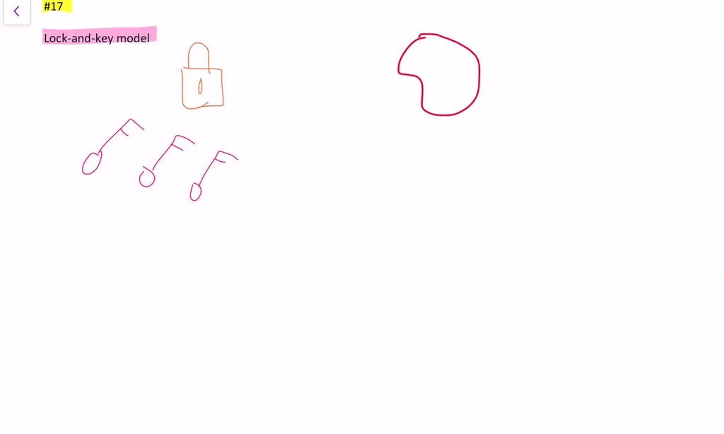 ⏩SOLVED:What are the sections of a secondary ignition scope pattern ...