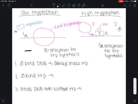Chapter 8, Control of Gene Expression Video Solutions, Essential Cell ...