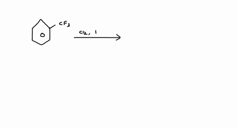 SOLVED:Which could be the major product of the following reaction?
